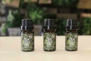 21 Benefits of Tea Tree Oil for Skin, Hair, and Health
