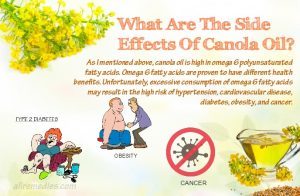19 Health and Beauty Benefits of Canola Oil