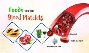 Top 10 Foods to Increase Blood Platelets Count Instantly & Naturally