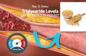 Top 11 Tips How To Reduce Triglyceride Levels Fast With Dieting