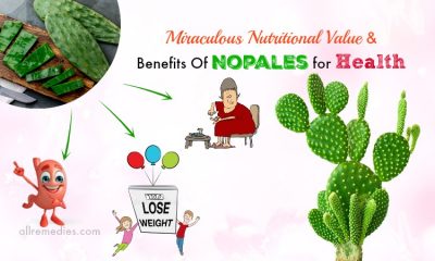 9 Miraculous Nutritional Value & Benefits Of Nopales For Health