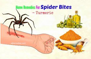 Symptoms & 24 Home Remedies For Spider Bites Itching On Face & Arm